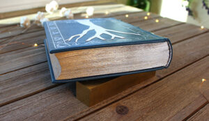 The Mesmerizing World of Fine Binding in Bookbinding